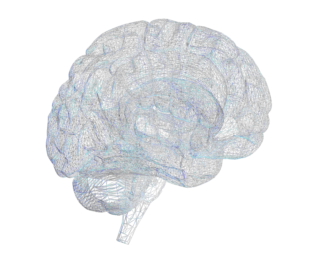 Sapient - We are Building Self-Evolving Machine Intelligence to Solve ...